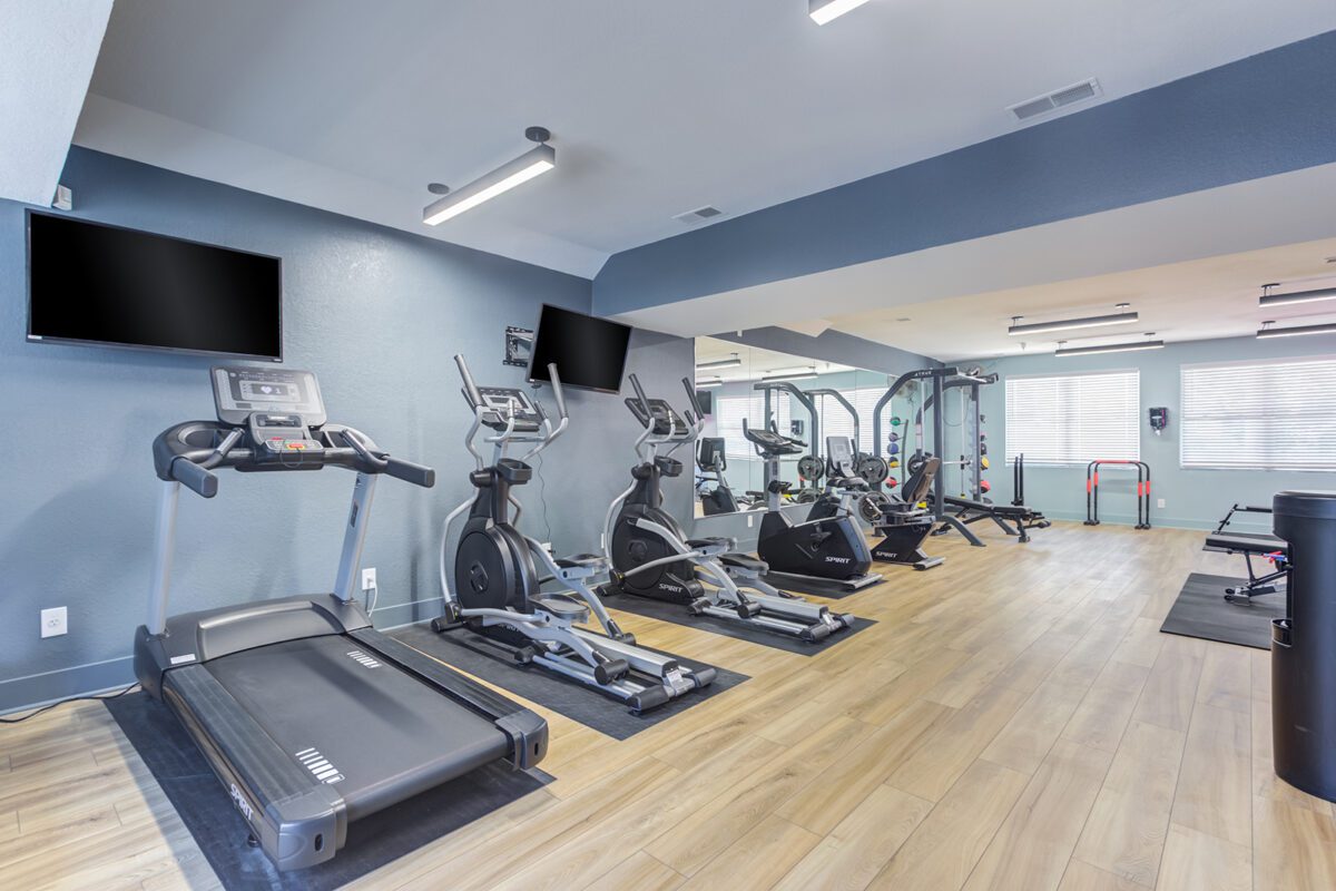 Now Leasing 4-Bed Townhomes | The Social at Illinois State | Normal, IL